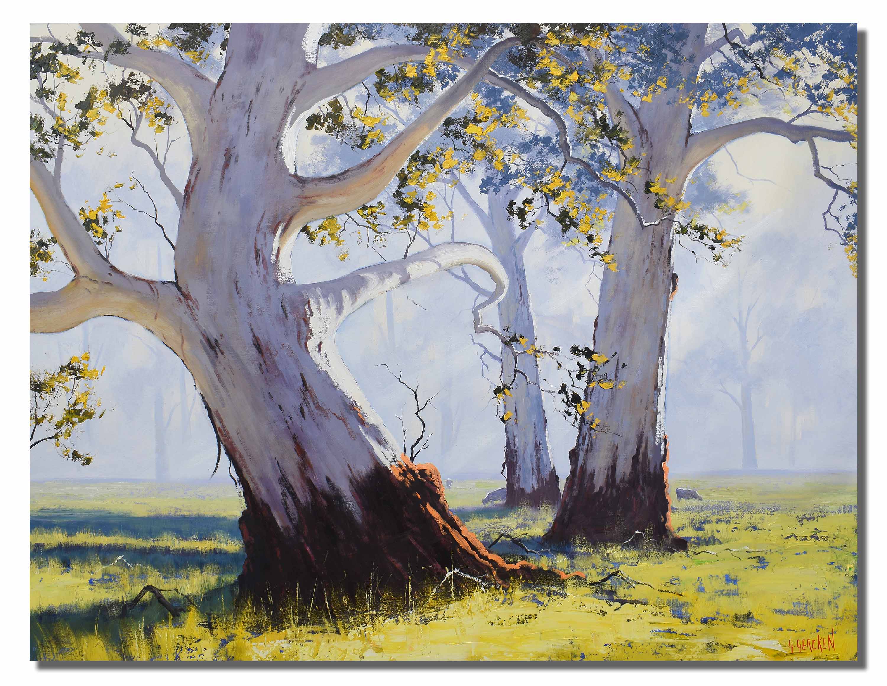 Original Australian Landscape Paintings by Graham Gercken – Original ...